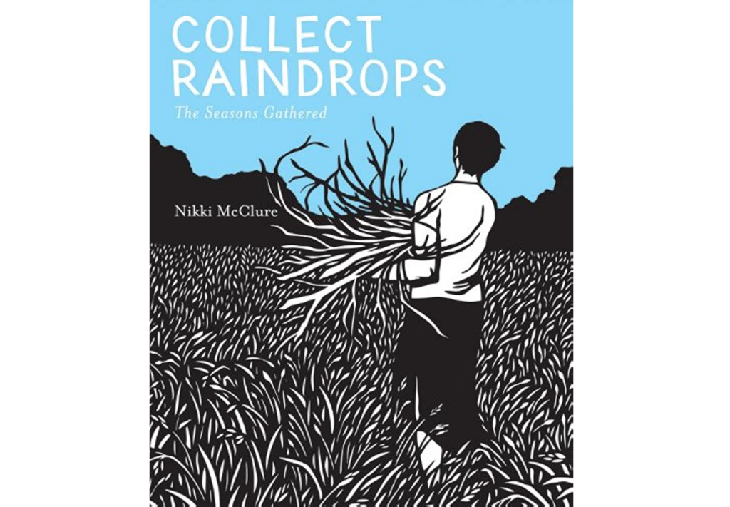 Collect Raindrops adjusted cover - w3 Awards